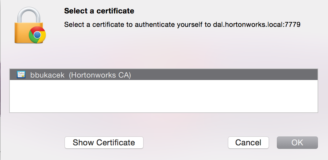 Securing NiFi Step-by-Step - Cloudera Community - 244315