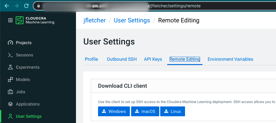 Using VS Code with CML/CDSW Runtimes - Cloudera Community - 324897